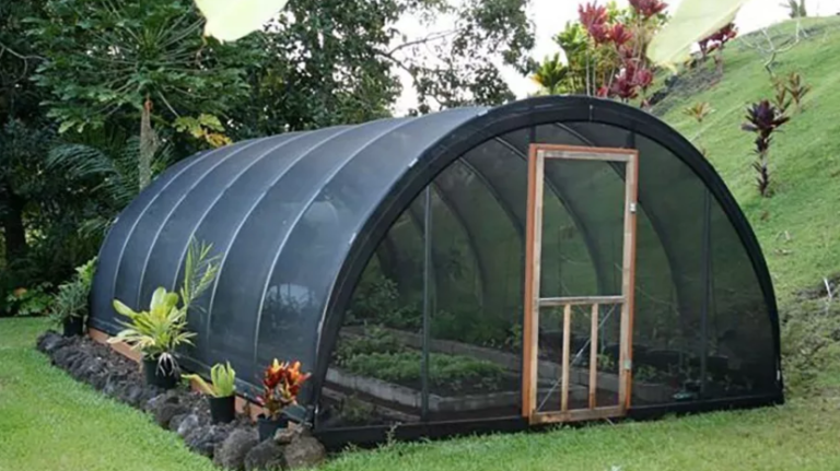 Wajib Tahu! Inilah Paranet Tanaman dan Fungsingnya