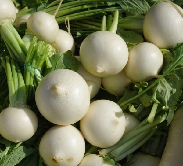 Contoh Tumbuhan Umbi Akar dan Manfaatnya Bagi Kesehatan