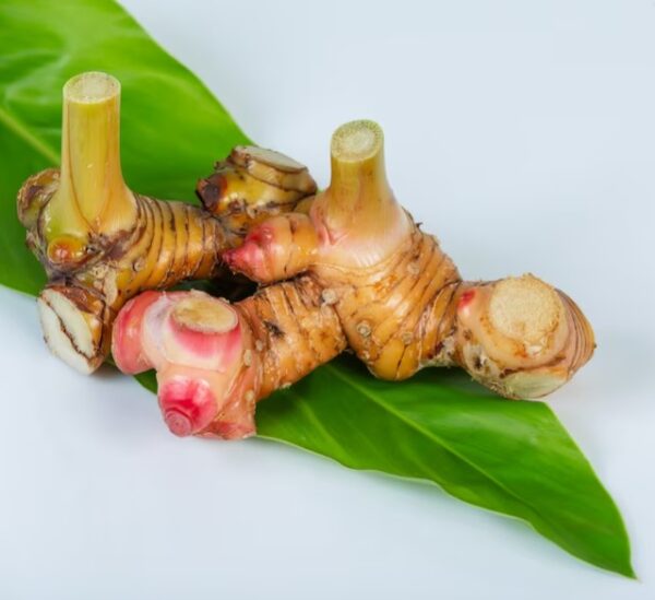 Lengkuas dan Laos, Apakah Mereka Sama dan Apa Manfaatnya Bagi Tubuh ...