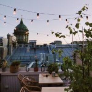 6 Tanaman yang Mudah ditanam di Rooftop Rumah – Laman 2