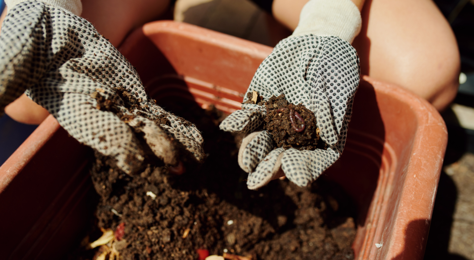 Kenali Jenis Pupuk Organik: Fungsi dan Nilai Ekonomis